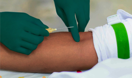 Venepuncture and cannulation